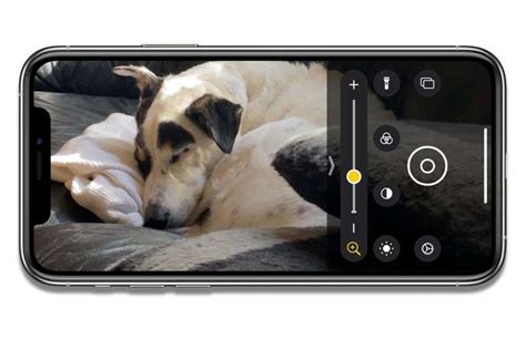 Image result for iOS Magnifier App