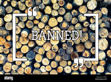 Image result for Ban Script Image