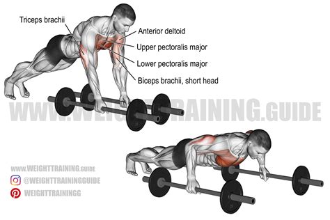 Image result for Fly Press Workout