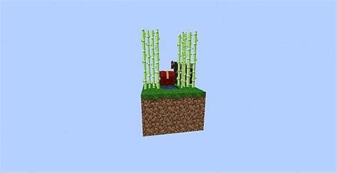Image result for Sky Block Java