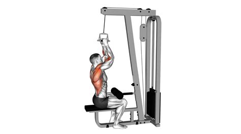 Image result for Powertec Lat Pulldown Machine