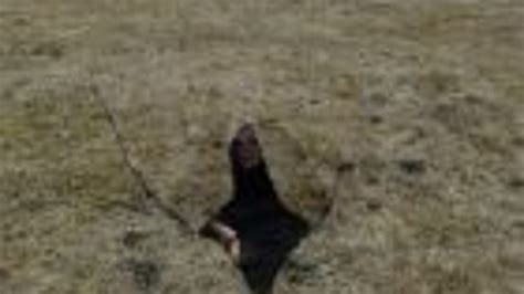 Image result for Invisible Cloth Real