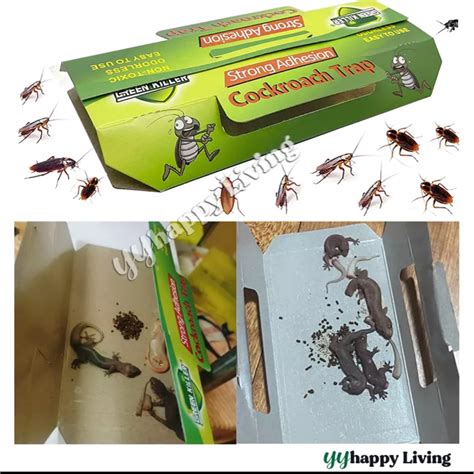 Image result for Cockroach Lizard Trap