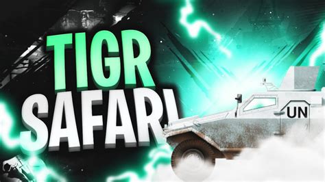 Image result for First Tigr Customs EFT