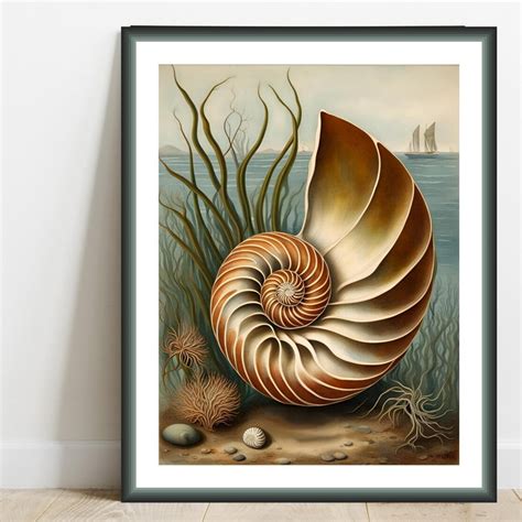 Image result for Nautilus Shell Art