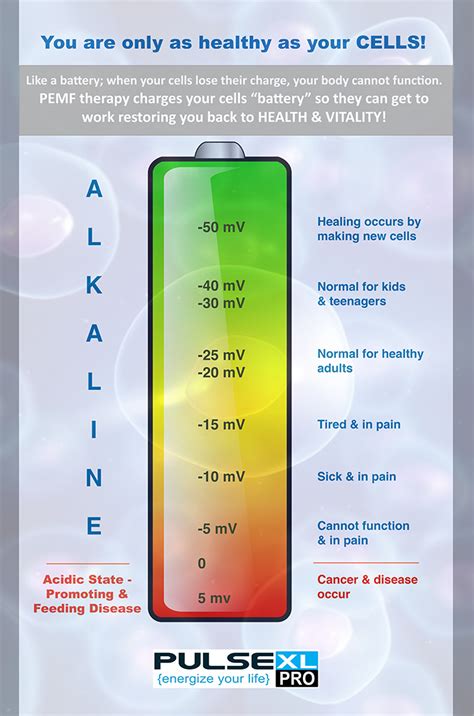 Image result for How to Use PEMF Loops On Humans