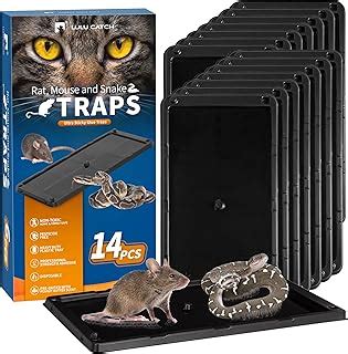 Image result for Lizard Trap Cold Storage