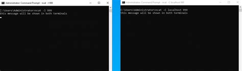 Image result for Install Ncat On Linux Using APG Install