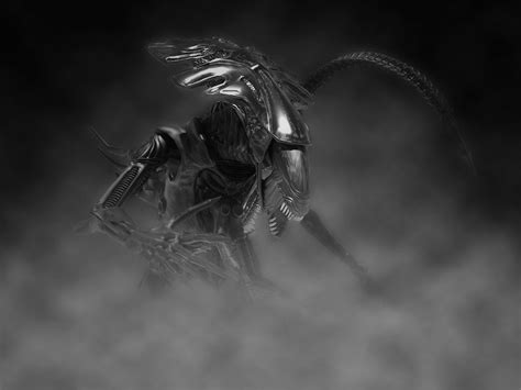 Image result for Alien Suche