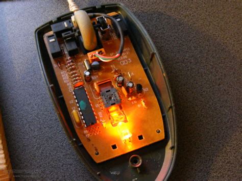 Image result for DFX Mouse LED