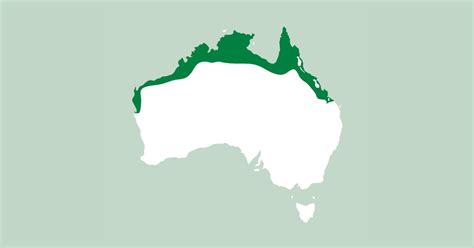 Image result for Tropical Climate Temperature Range