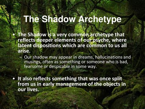 Image result for Evocation Shadow Archetype