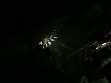 Image result for iPhone 6 Plus Camera Tutorial