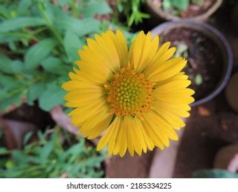 Image result for Click Me