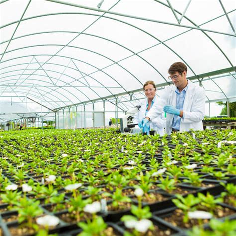 Image result for TMECC Compost Testing