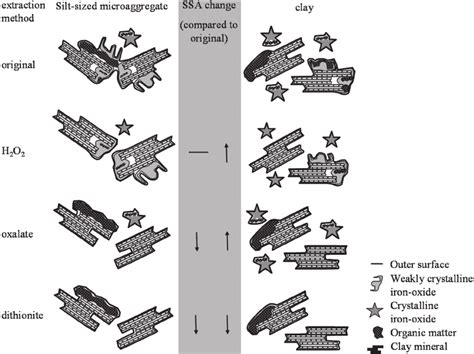 Image result for Thioacetate Oxidation Using H2O2