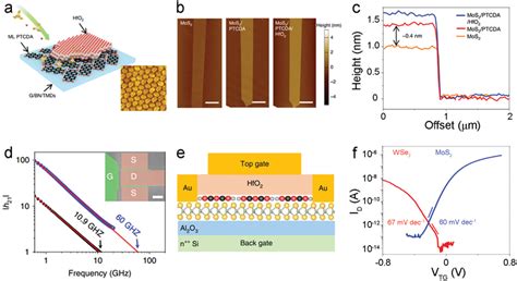 Image result for HfO2 ALD Intel