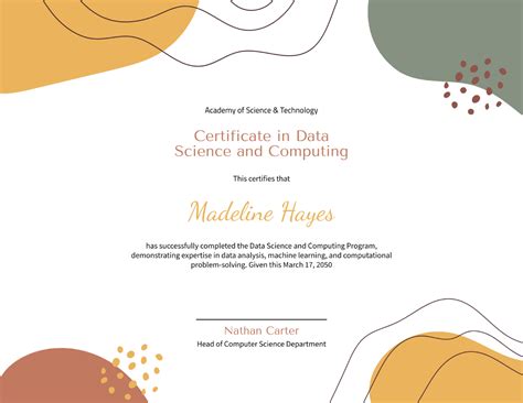 Image result for Certificate in Computer Programming