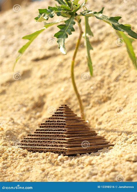 Image result for Paper Pyramid