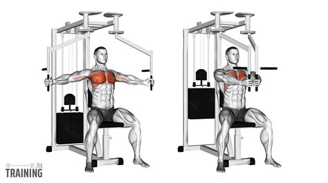 Image result for Machine Fly Workout