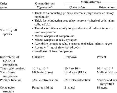 Image result for Time Coding Media Examples