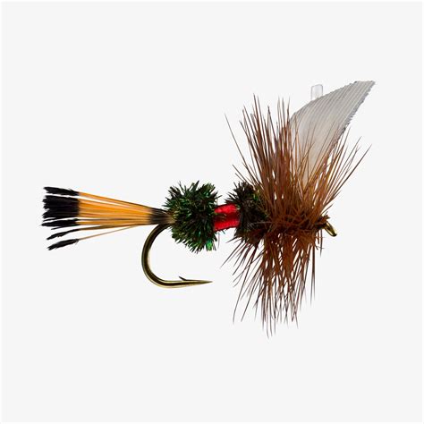 Image result for Royal Coachman Fly Pattern
