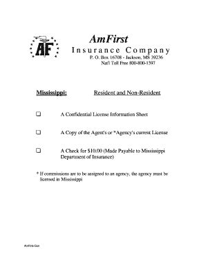 Image result for AmFirst Insurance Company PDF