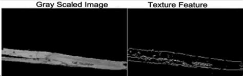 Image result for Texture Feature Extraction