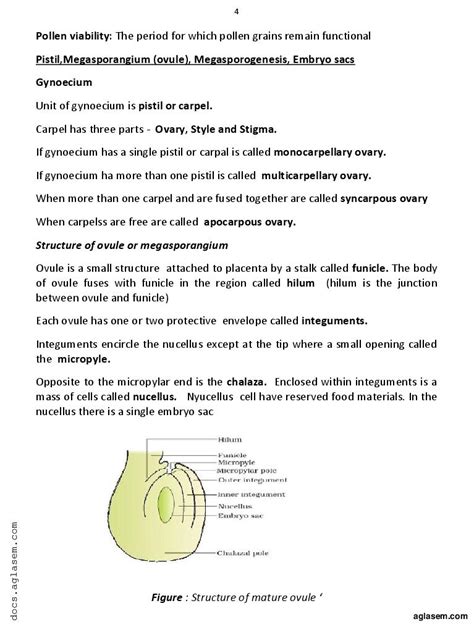 Image result for Class 12 Botany Chapter 2