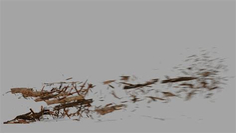 Image result for Exploding Wood Chuck