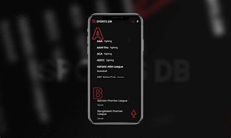 Image result for Using Sportsdb