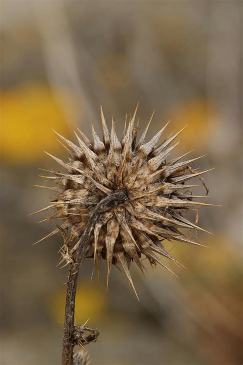 Image result for Procurement Process Life Cycle