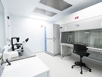 Image result for GMP Cell Manufacturing Lab