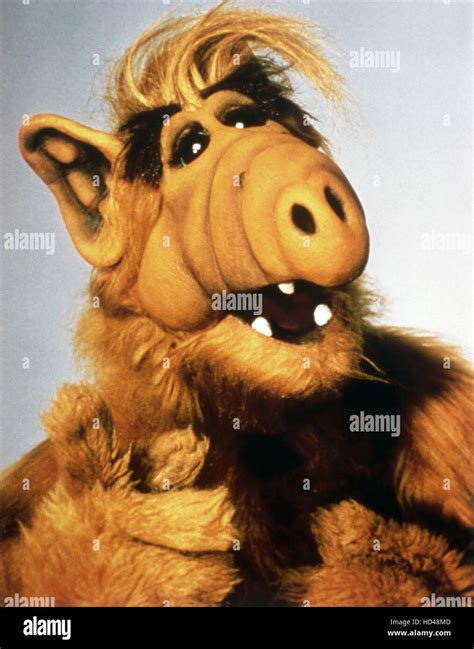 Image result for Alien Productions Alf