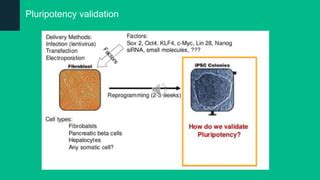 Image result for IPSC Reprogramming