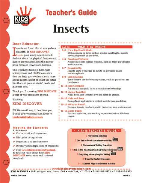 Image result for Insects Lessons