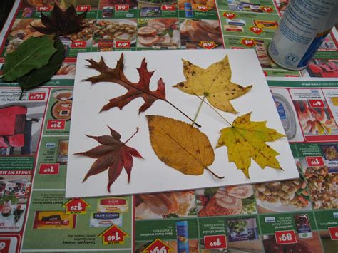 Image result for Tutorial On Foil Relief