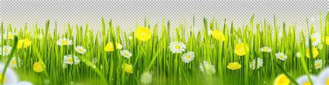 Image result for Spring Flower Border Paper