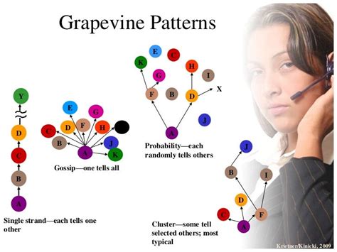 Image result for Grapevine Example