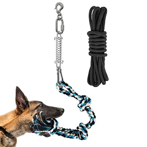 Image result for Spring Pole Dog Training