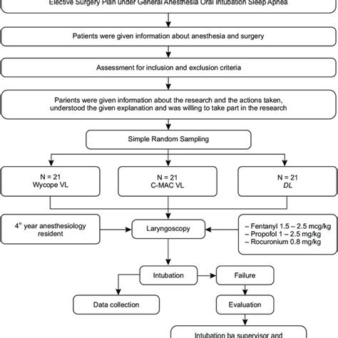Image result for Intubation Training Cmac