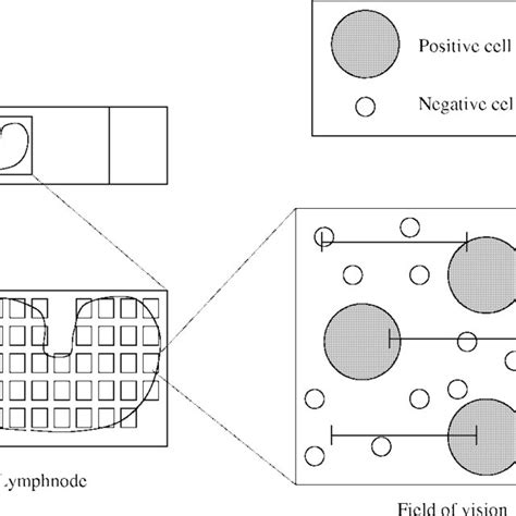 Image result for Examples of Systemic Random Sampling