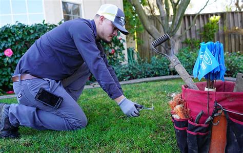 Image result for Gopher Removal Methods