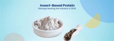 Image result for Insect Based Protein