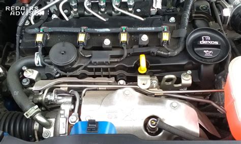 Image result for P0440 Engine Code Smell Like Fuel