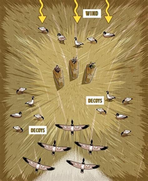 Image result for Goose Hunting Setups