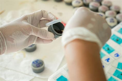 Image result for How to Get Stool Sample