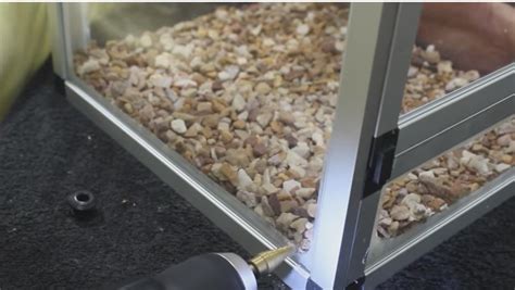 Image result for Bioactive Iguana Setup