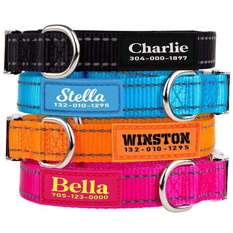 Image result for Metal Collars for Dogs