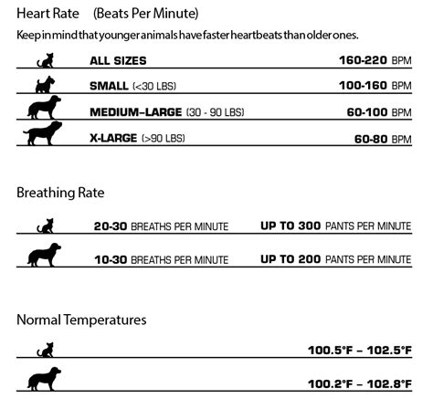 Image result for Normal Heart Rate Dog